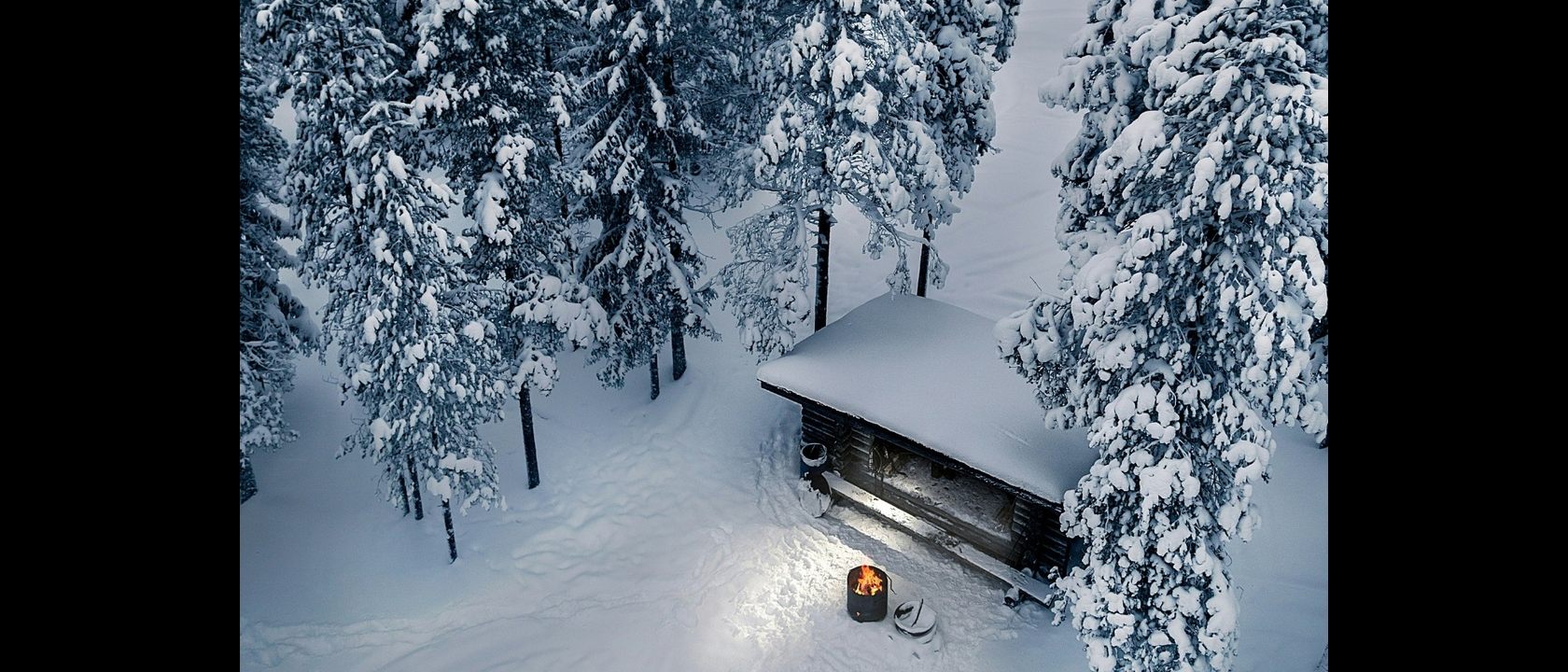 Den perfekta skogen | Riksteatern