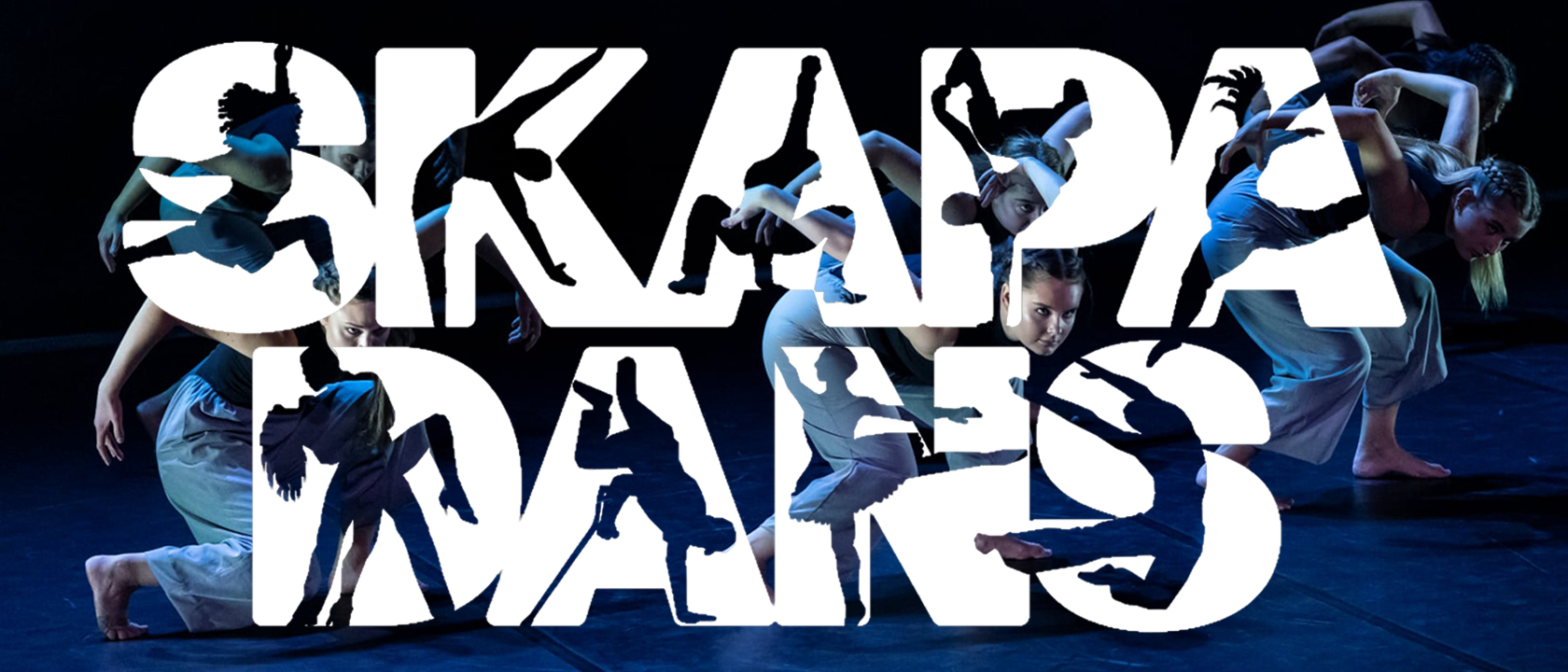 Skapa Dans Riksfinal 2020 | Riksteatern